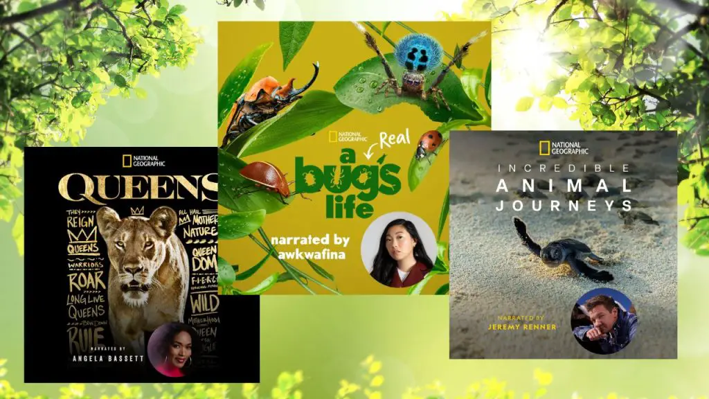 Awkwafina, Angela Bassett, and Jeremy Renner to Narrate Natural History ...