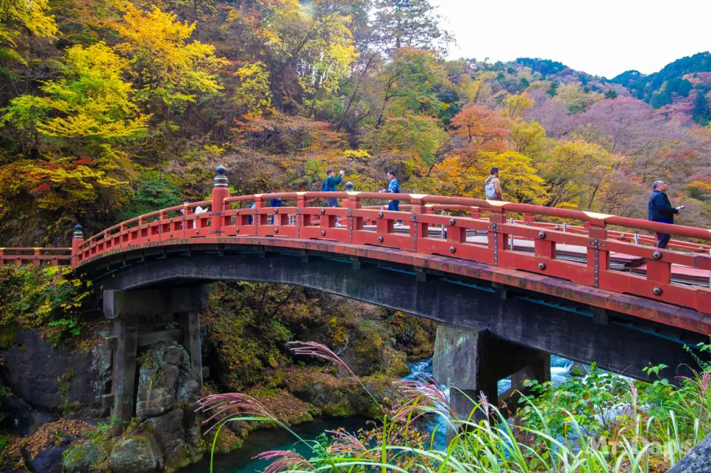 Visiting Nikko - Mr. Daps Goes to Japan