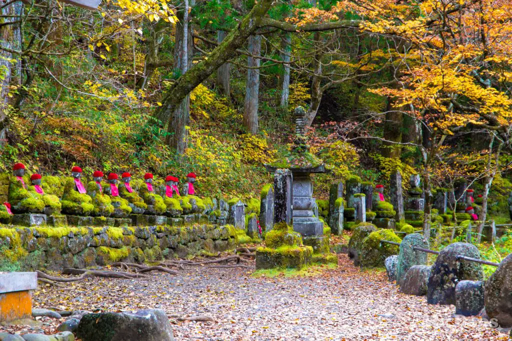 Visiting Nikko - Mr. Daps Goes to Japan