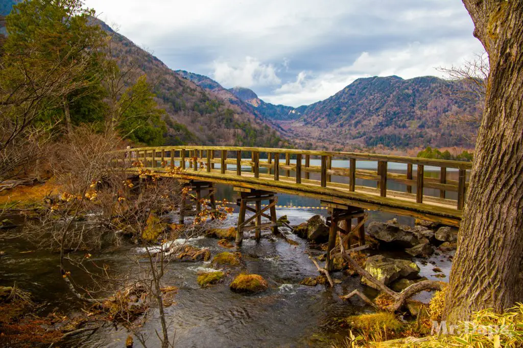 Visiting Nikko - Mr. Daps Goes to Japan