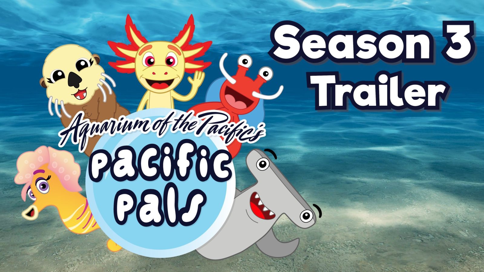 Third Season of 'The Pacific Pals Show!' Released by Aquarium of the ...
