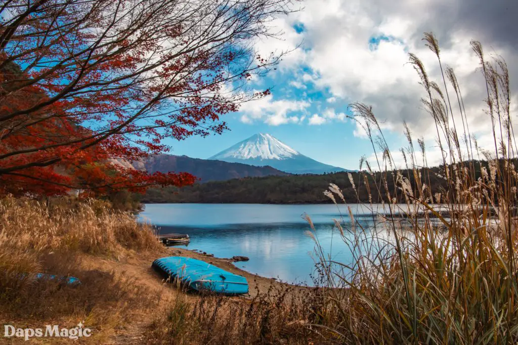 Mount Fuji Adventures and a Fish on a Stick - Mr. Daps Goes to Japan