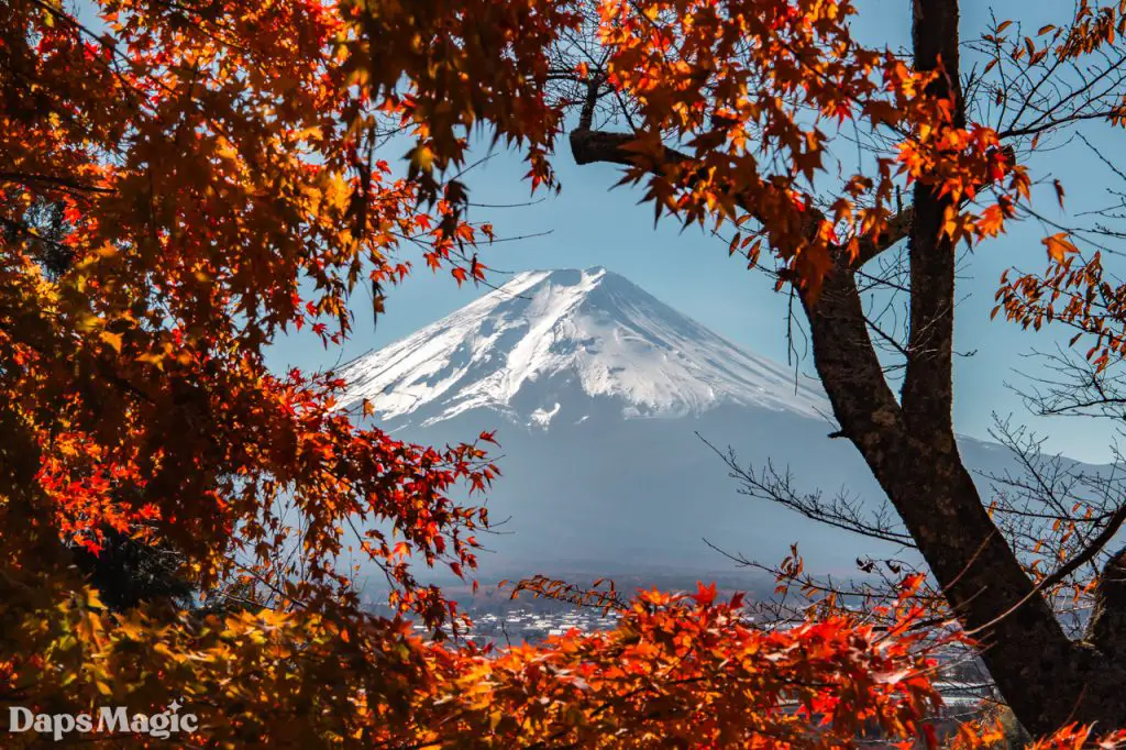Mount Fuji Adventures and a Fish on a Stick - Mr. Daps Goes to Japan