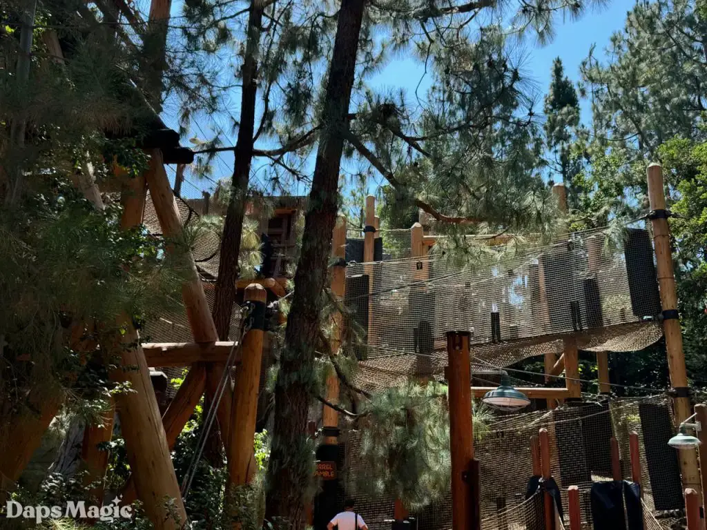 Redwood Creek Challenge Trail Reopens at Disney California Adventure