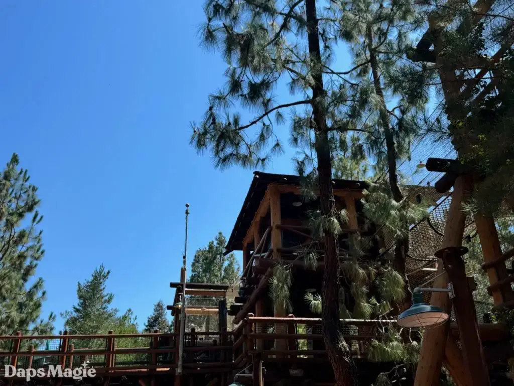 Redwood Creek Challenge Trail Reopens at Disney California Adventure