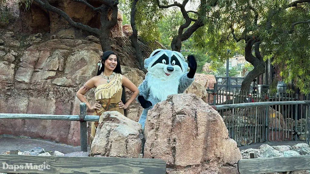 CHOC Walk in the Park Sees Thousands Experience a Magical Morning ...