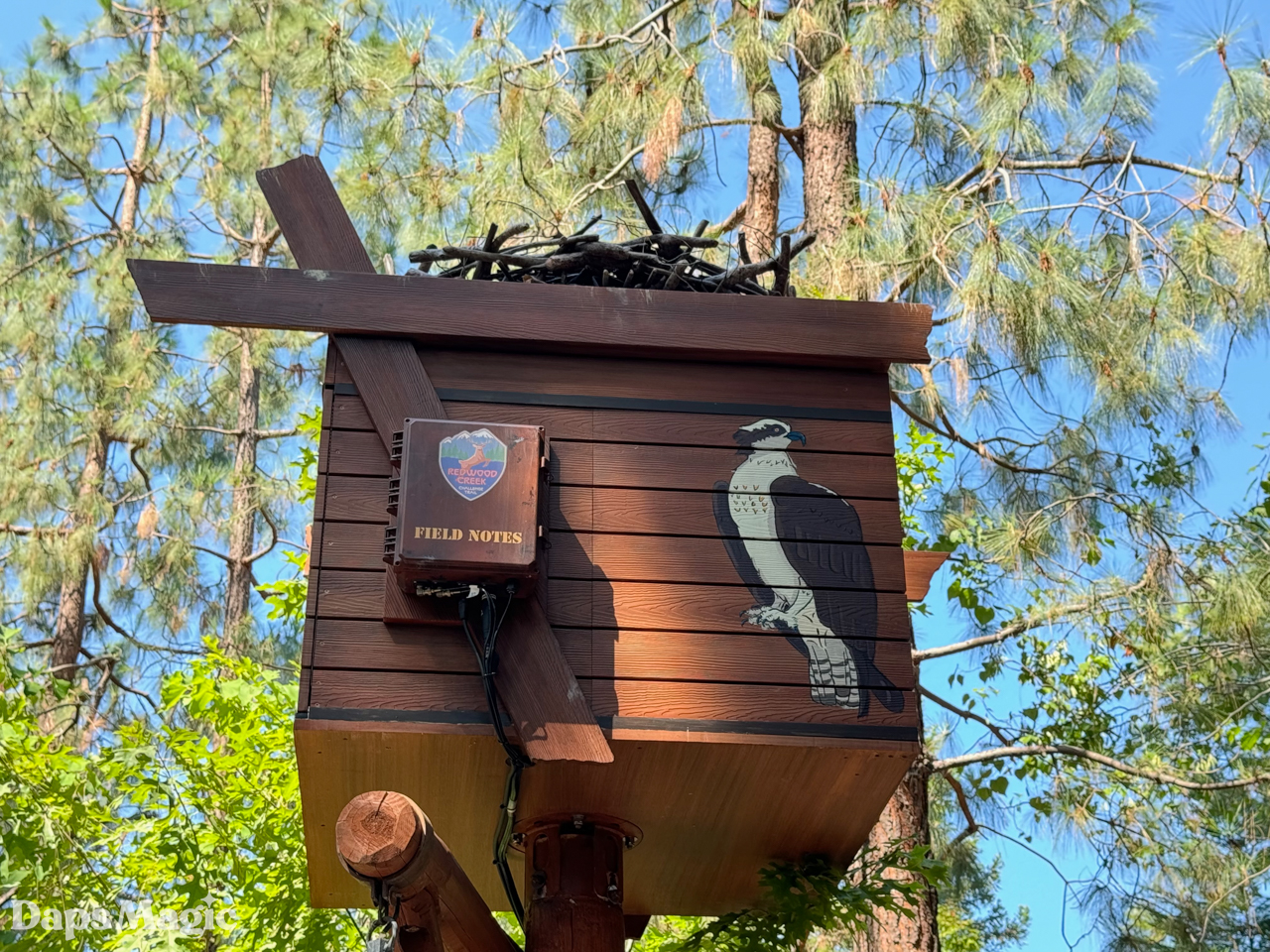 Redwood Creek Challenge Trail Reopens at Disney California Adventure