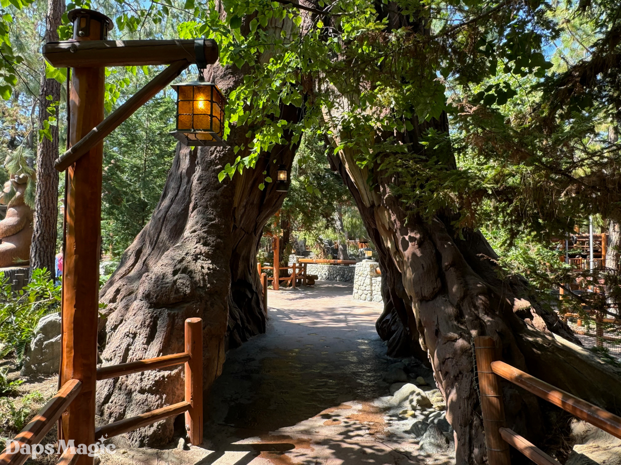 Redwood Creek Challenge Trail Reopens at Disney California Adventure