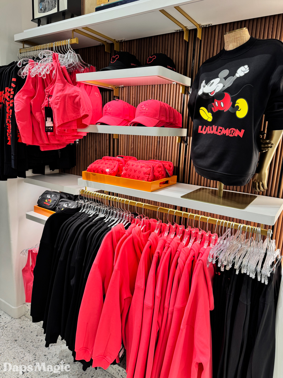 Pictorial: Opening Day of D-Lander Shop at Downtown Disney District