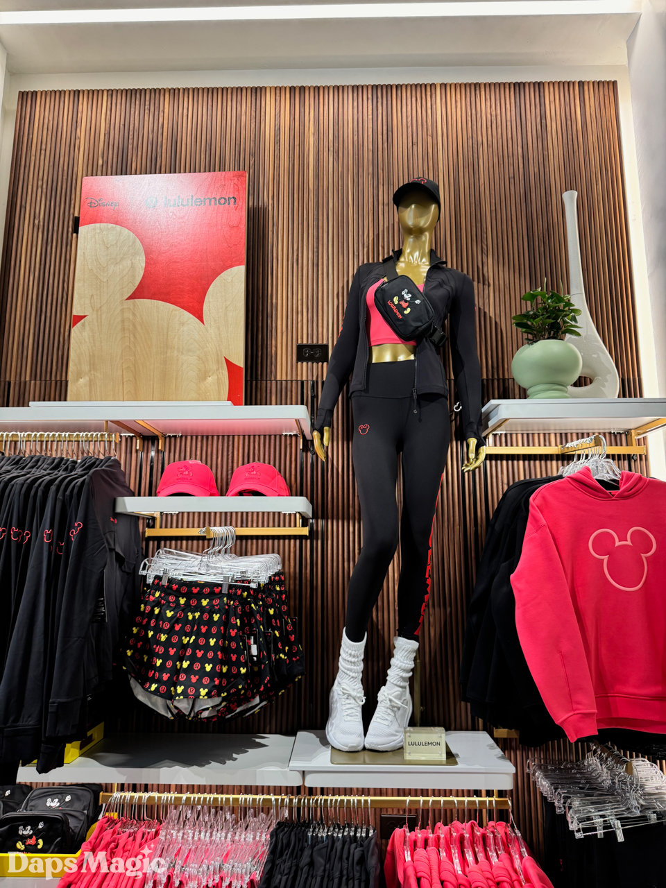 Pictorial: Opening Day of D-Lander Shop at Downtown Disney District