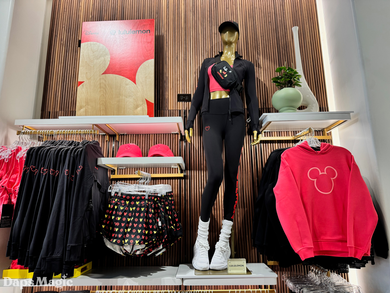 Pictorial: Opening Day of D-Lander Shop at Downtown Disney District