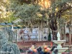 Walls Come Down From Around the Extended Queue of Disneyland's Haunted ...