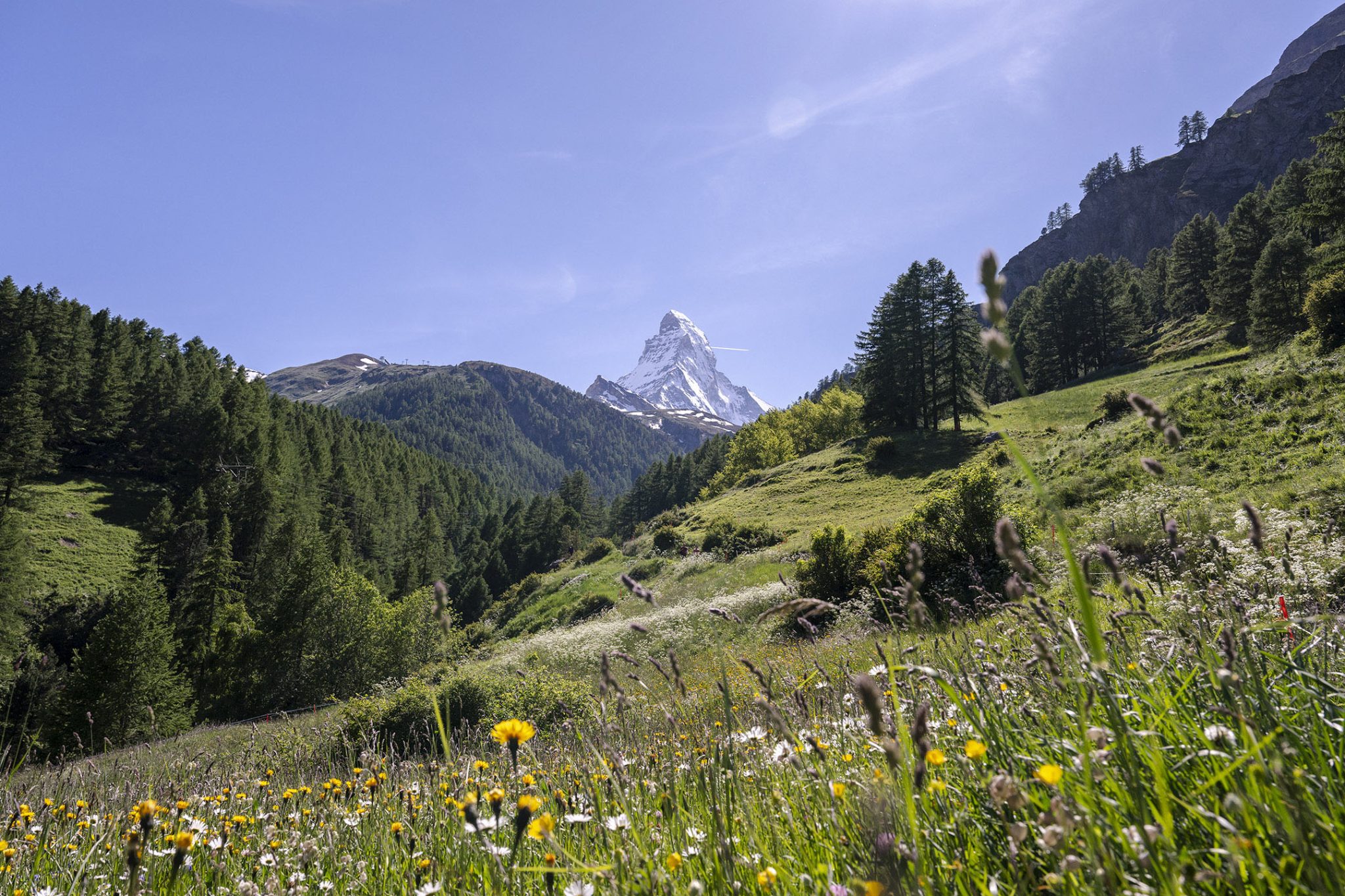 Adventures by Disney Announces New Destinations to Greece and Switzerland