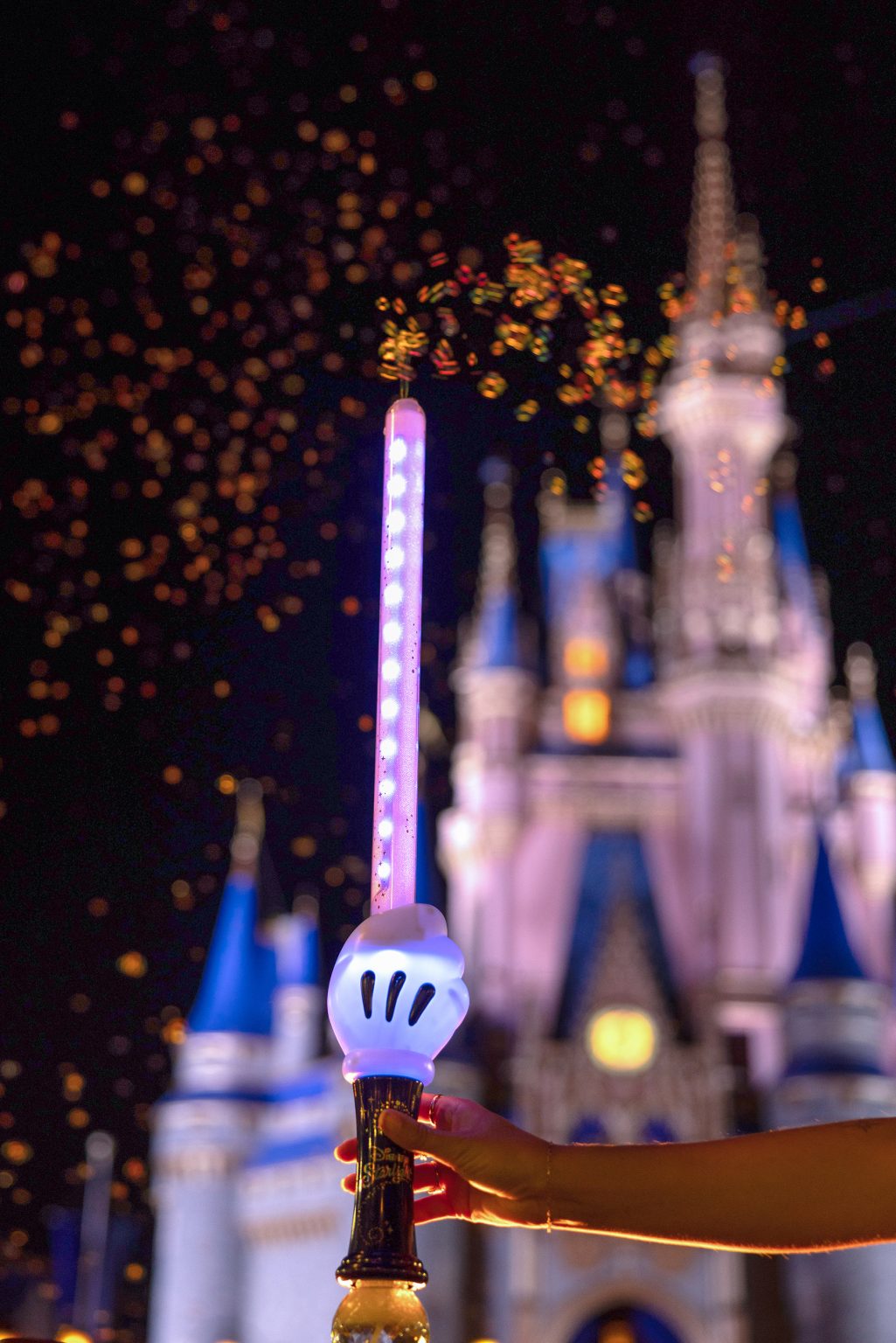Disney Announces Debut Date and Details for Walt Disney World's 'Disney ...