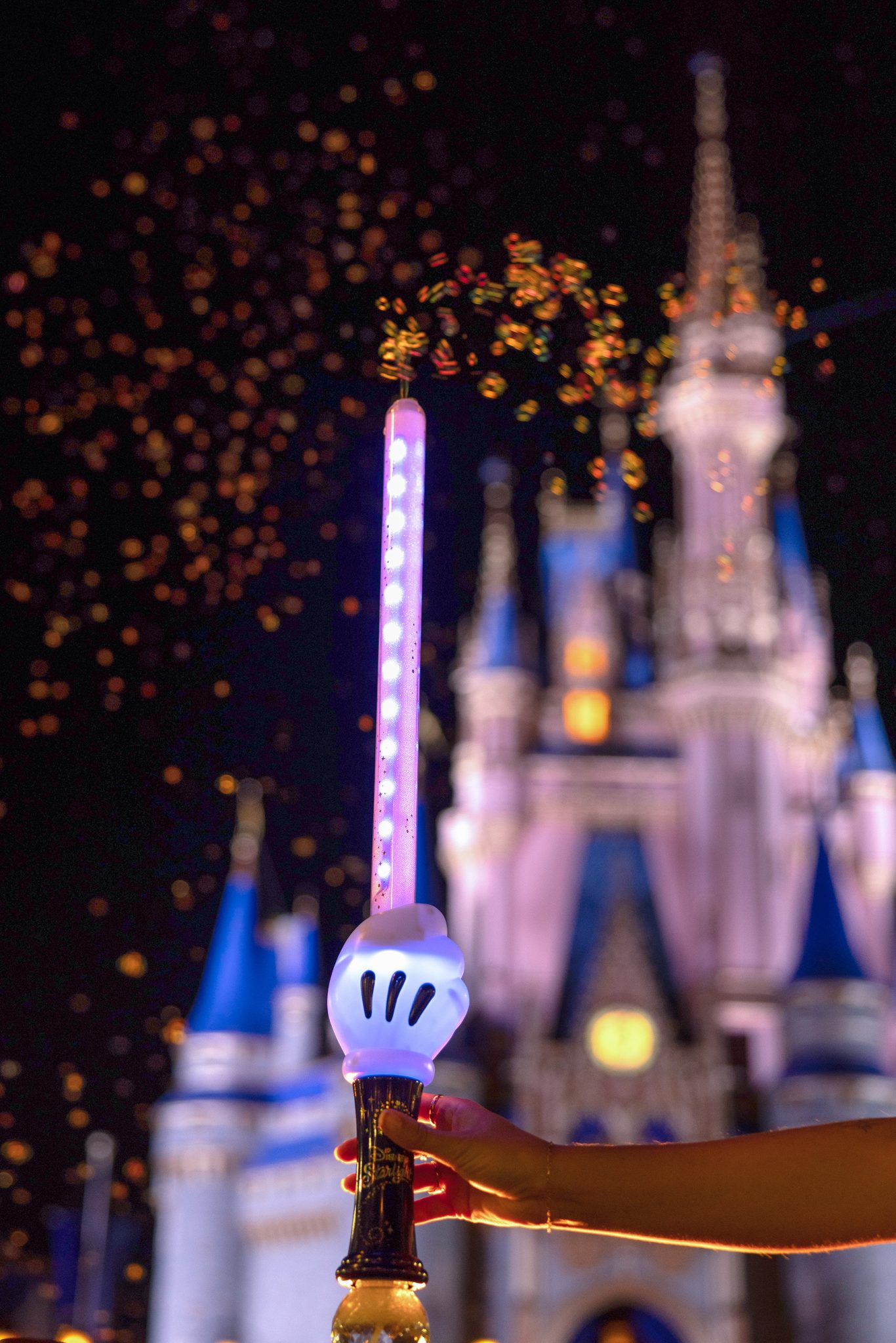 Disney Announces Debut Date and Details for Walt Disney World's 'Disney ...