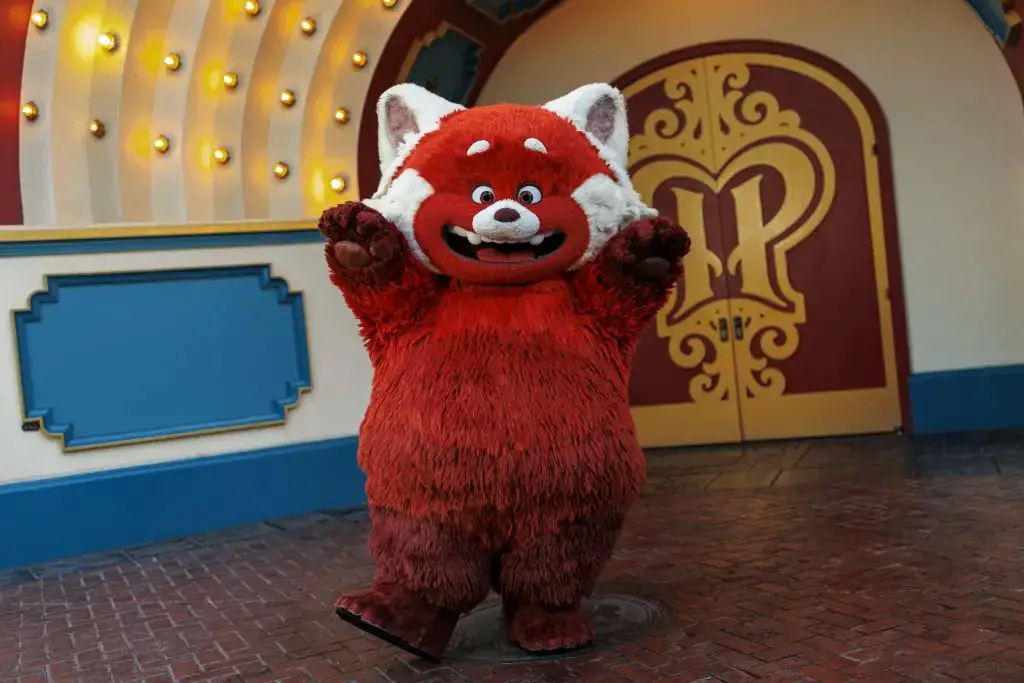 Red Panda Mei Meets With Guests for the First Time at Disneyland Resort