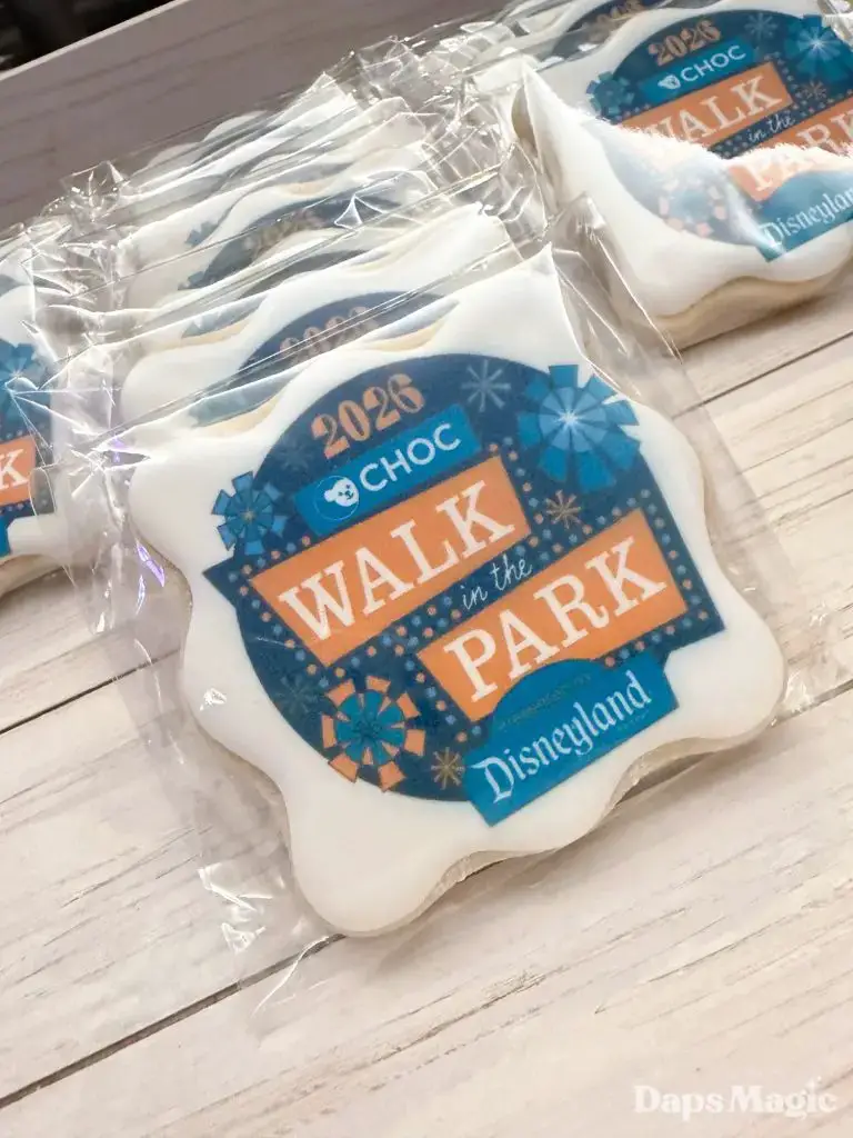 Little Victories, Big Waves: The Inspiring Heart of CHOC Walk 2026